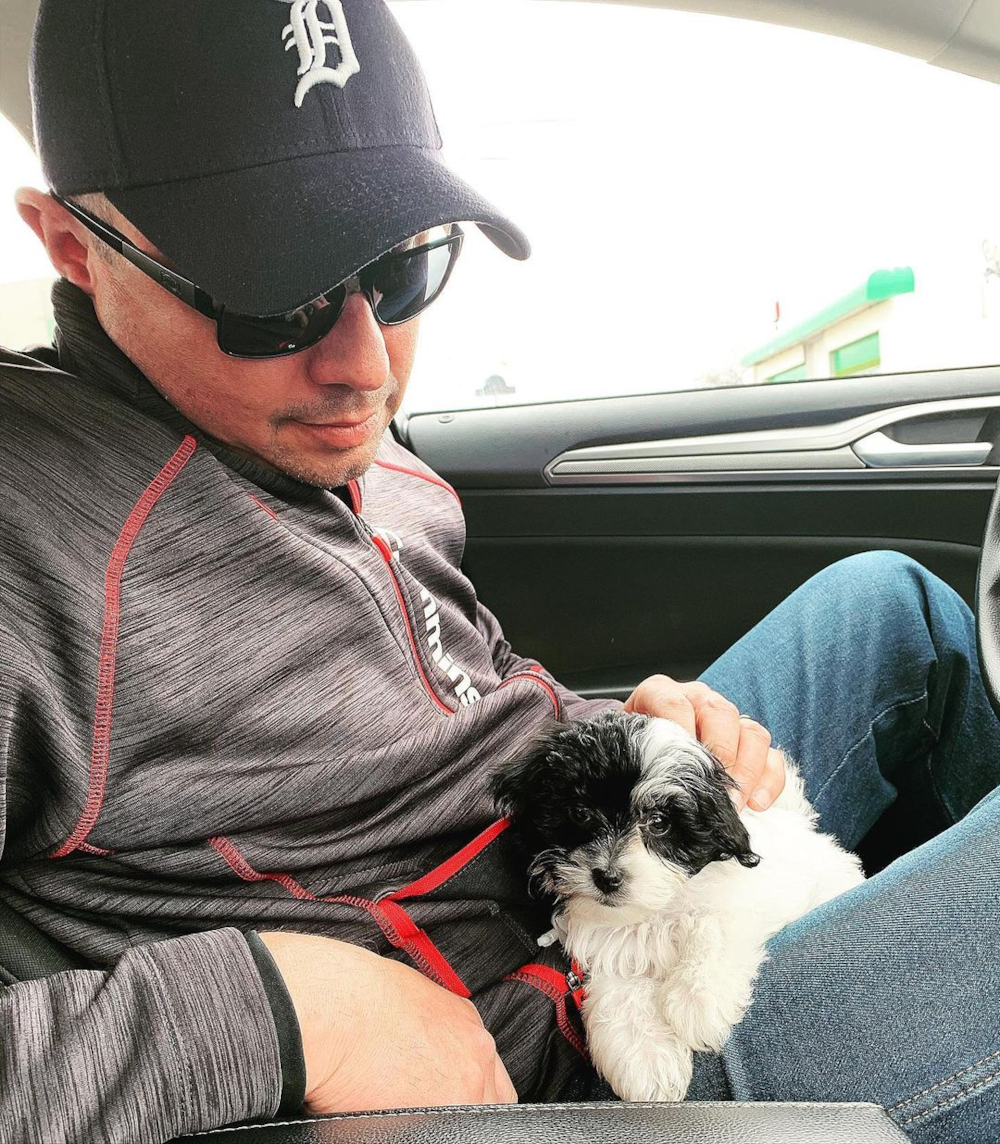 Havapoo Designer Breed Information | Premier Pups