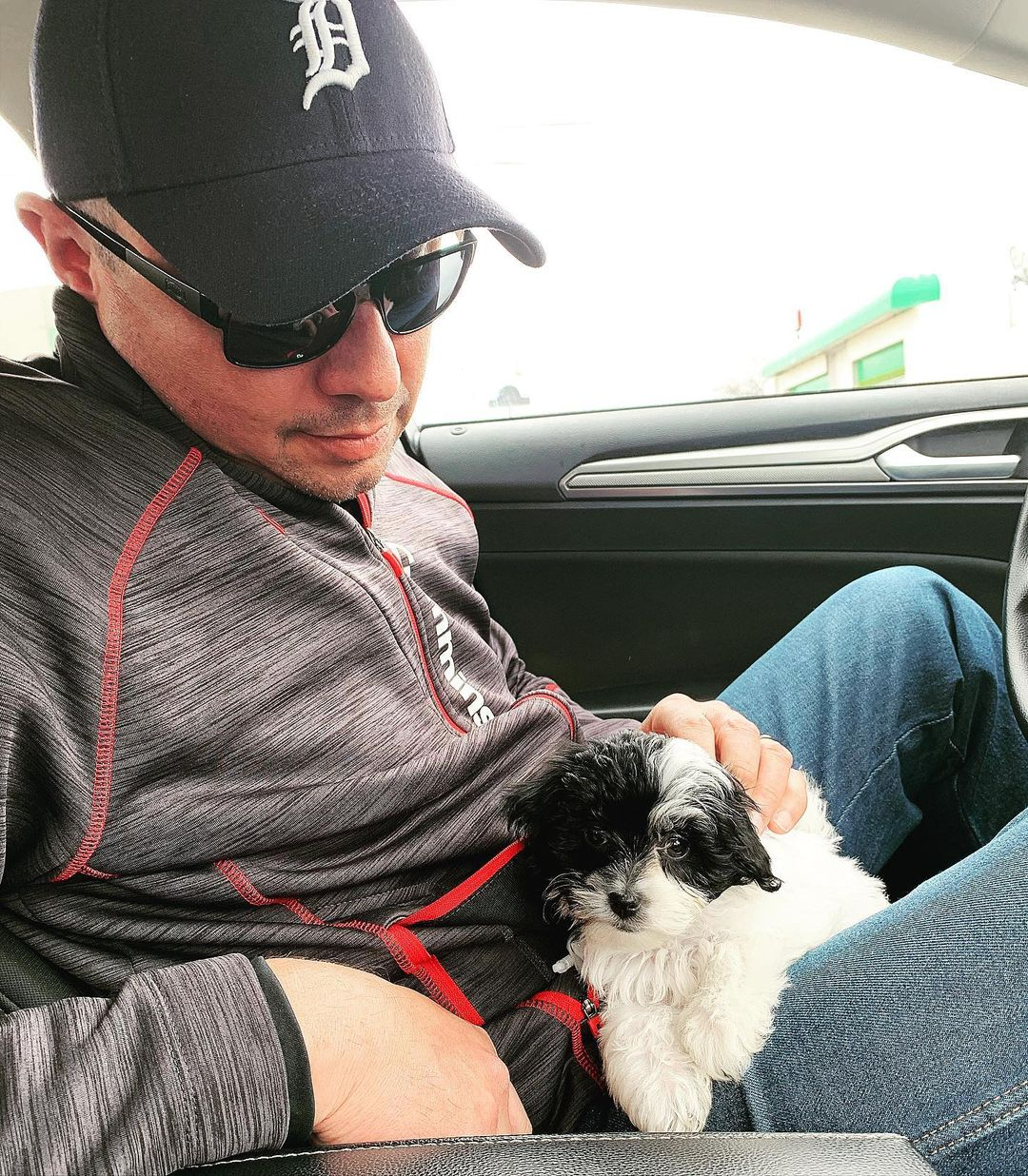 Havapoo Designer Breed Information | Premier Pups