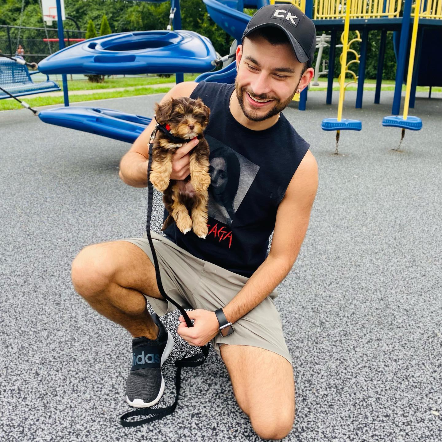 Yorkie Poo | Doodle Breed Information | Premier Pups