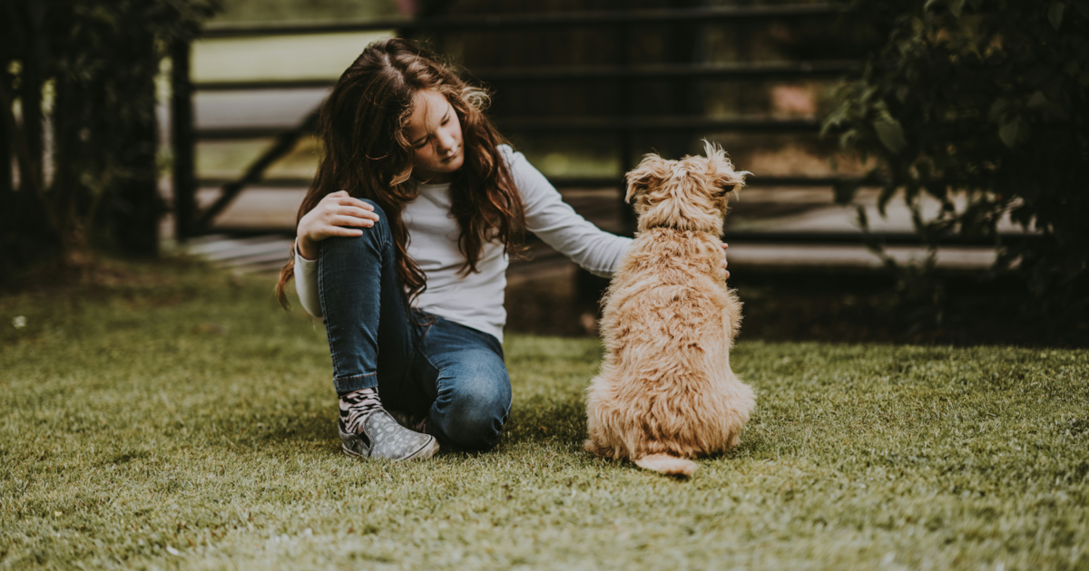 Are Cavapoos Good With Kids? Cavapoo Family Dog Guide