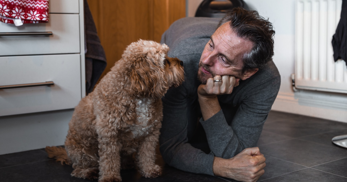 Pandemic Years, Mental Health & Dogs – Premier Pups - Premier Pups