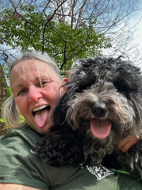 Mini Portidoodle Pictures, Size +MORE | Premier Pups