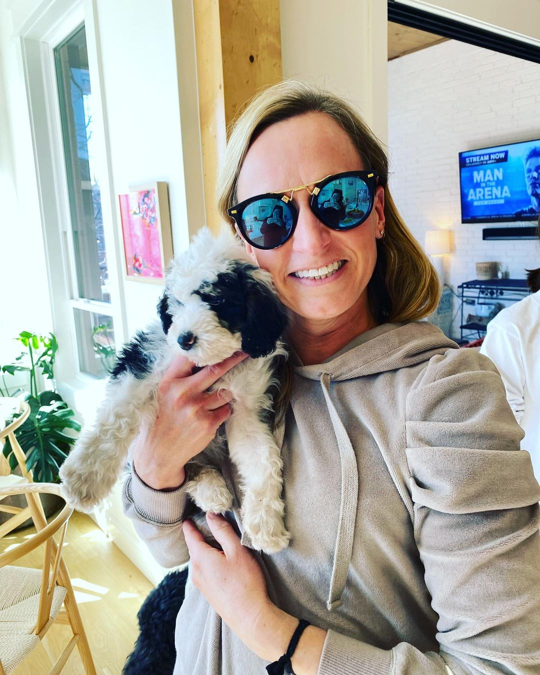 Mini Sheepadoodle | Full Breed Info | Premier Pups