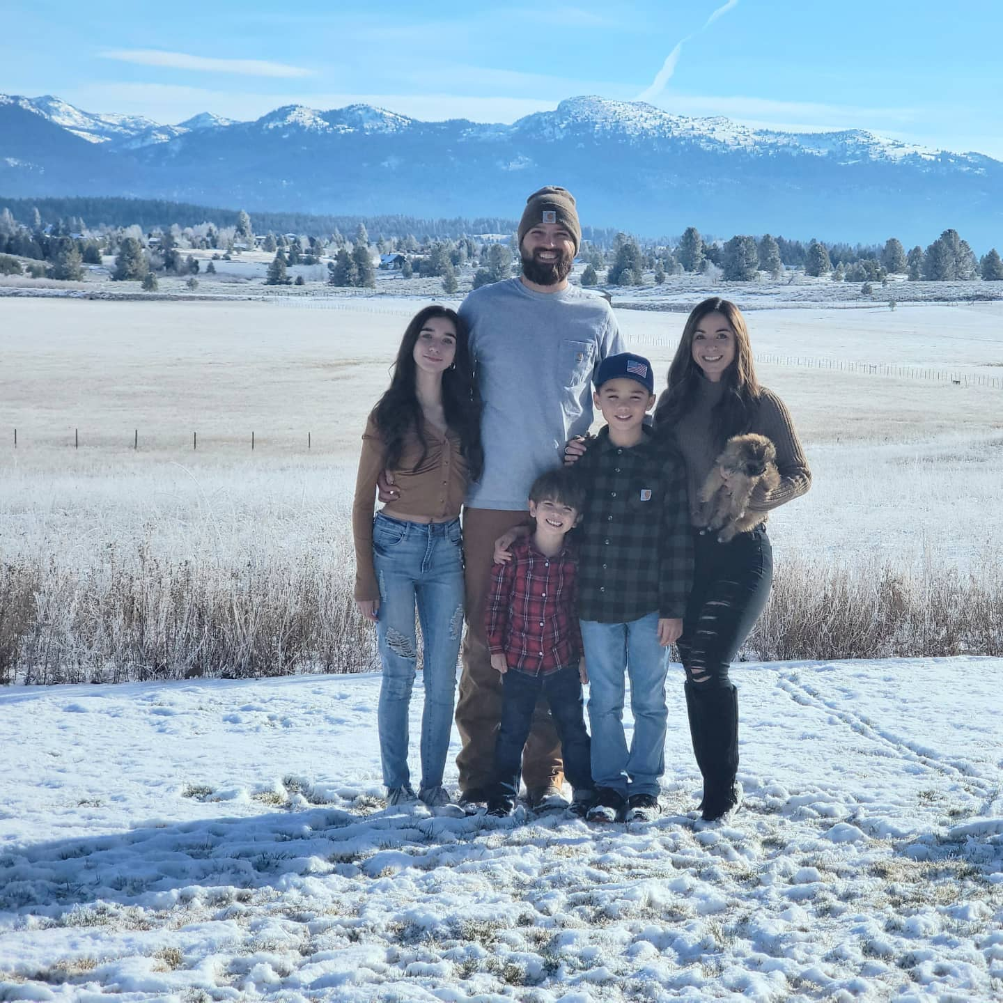 Shih Pom | Designer Breed Description | Premier Pups