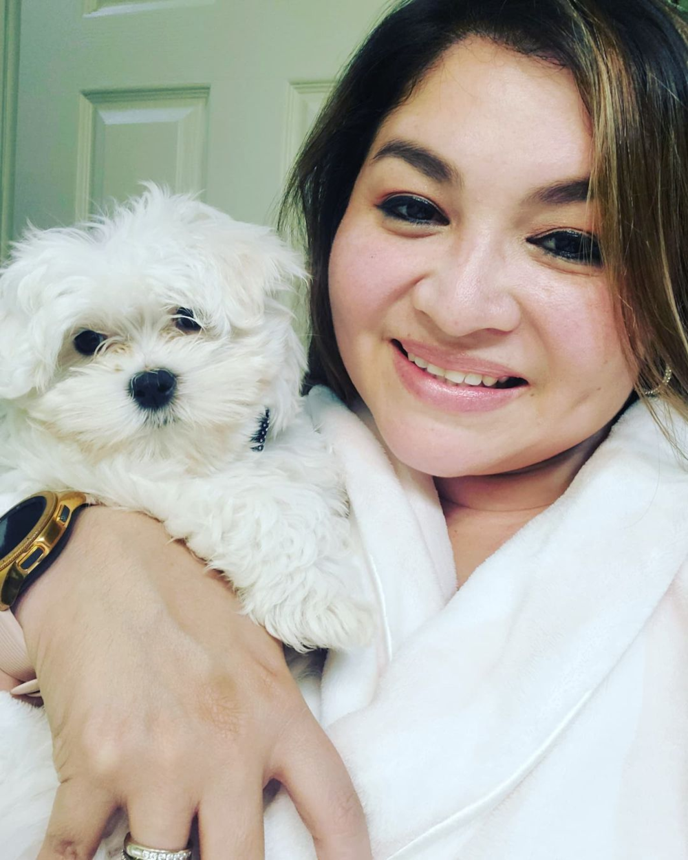 Maltese Pictures and Complete Breed Information - Premier Pups