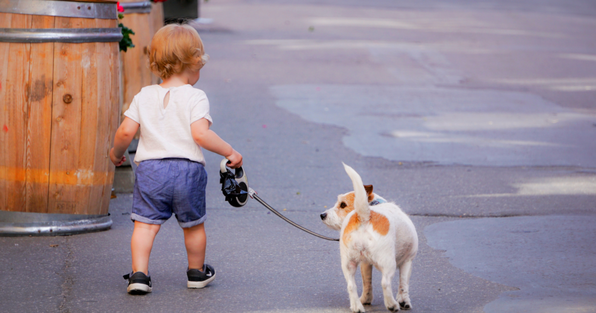 Leash Training 101: The Ultimate Guide for Dog Lovers